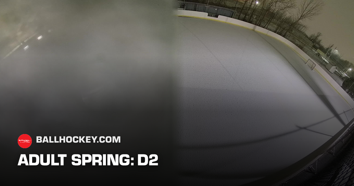 Adult Spring: D2 (Ballhockey.com) | Sporfie